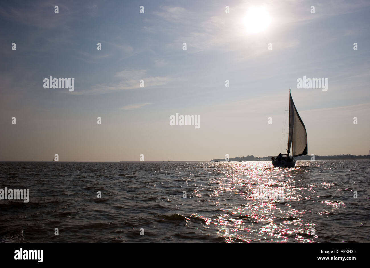 sail boat on the sea Stock Photo - Alamy