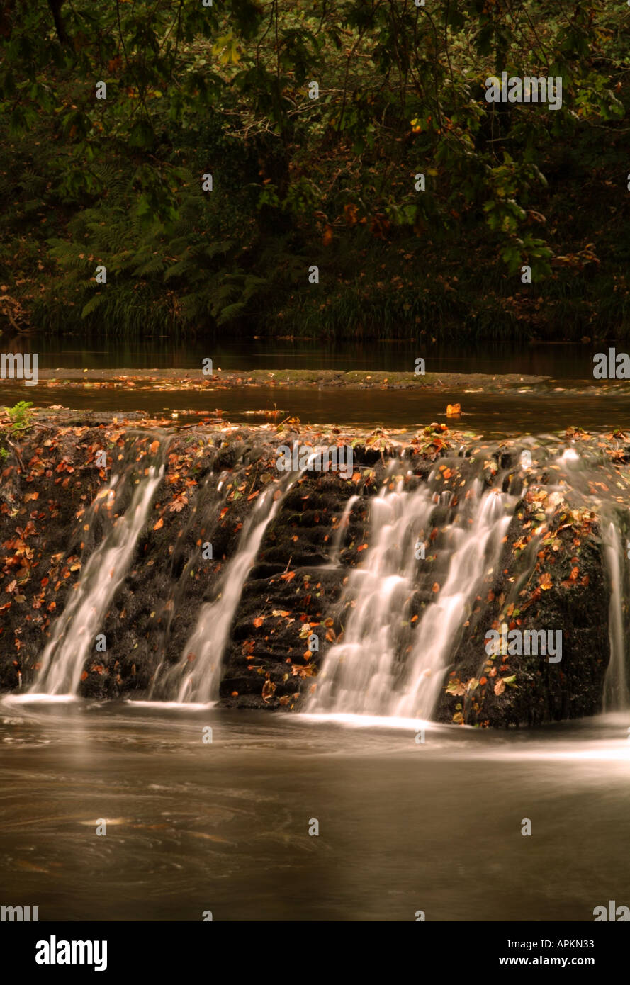 Plymbridge hi-res stock photography and images - Alamy