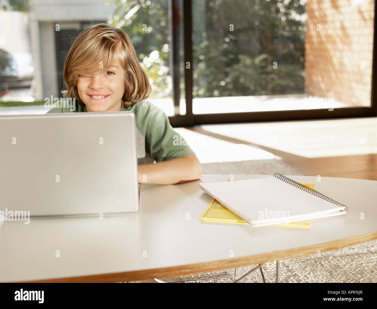 Boy using laptop computer (portrait Stock Photo - Alamy