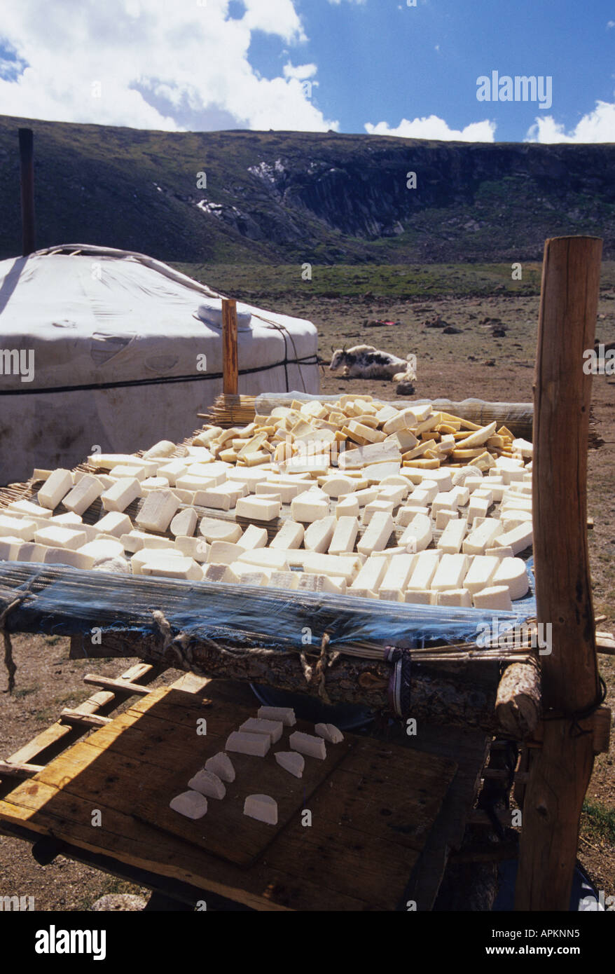 cheese drying outside ger Stock Photo - Alamy