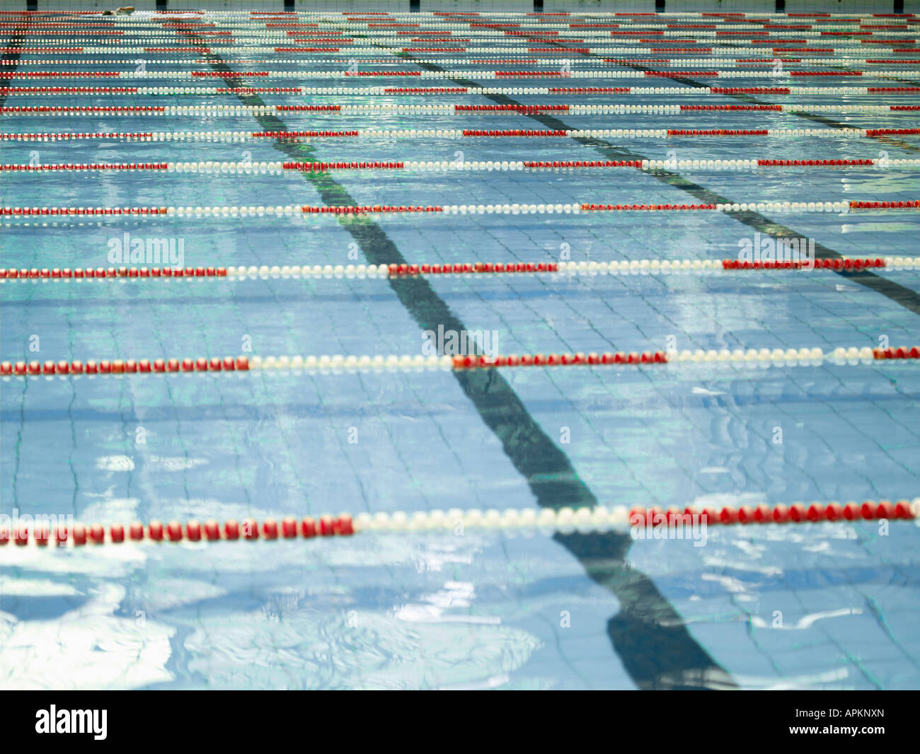 Swimming pool with lane markers (close-up Stock Photo - Alamy