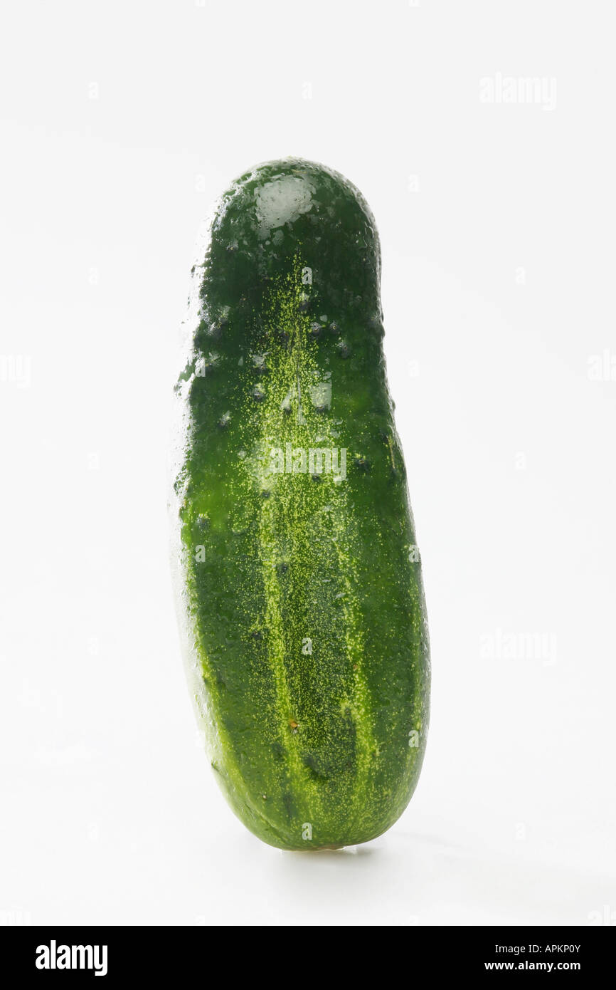 Single pickle (close-up Stock Photo - Alamy