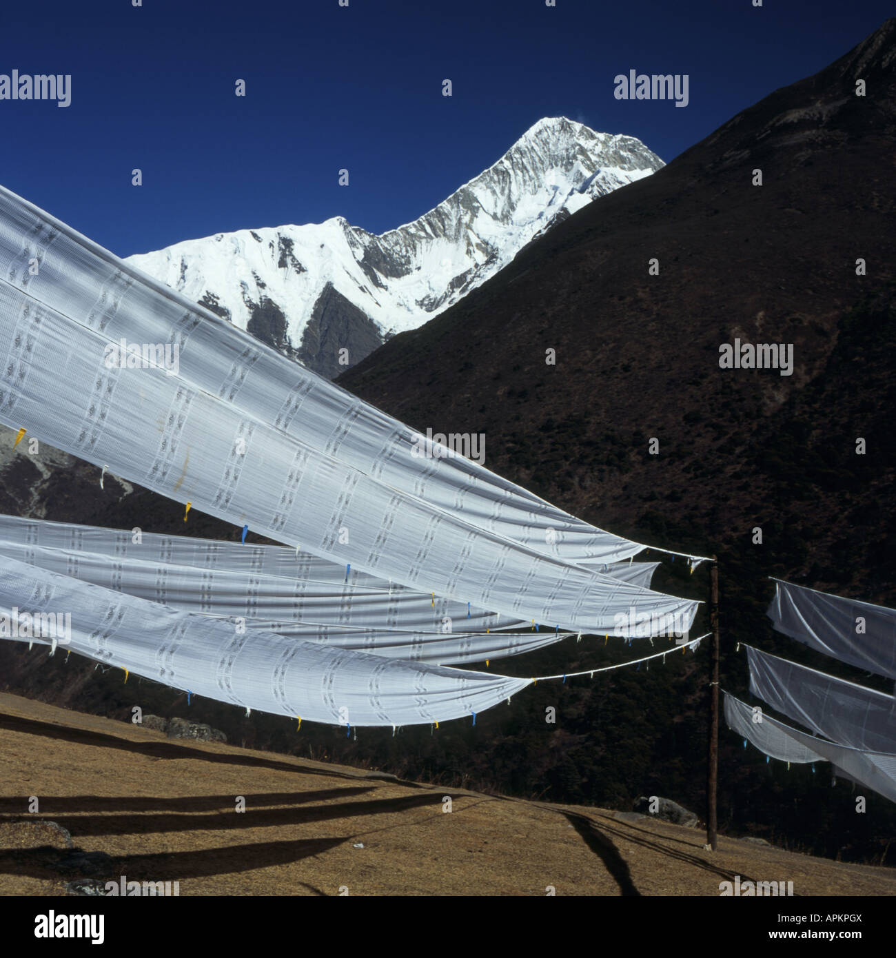 prayer flags at the monastery Gongka Gompa with the Minya Gongka in the ...