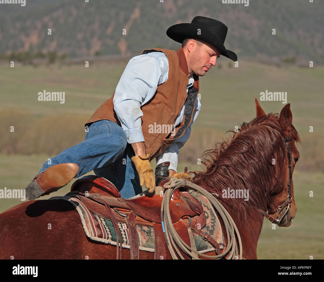 Cowboy soaring his horse hi-res stock photography and images - Alamy