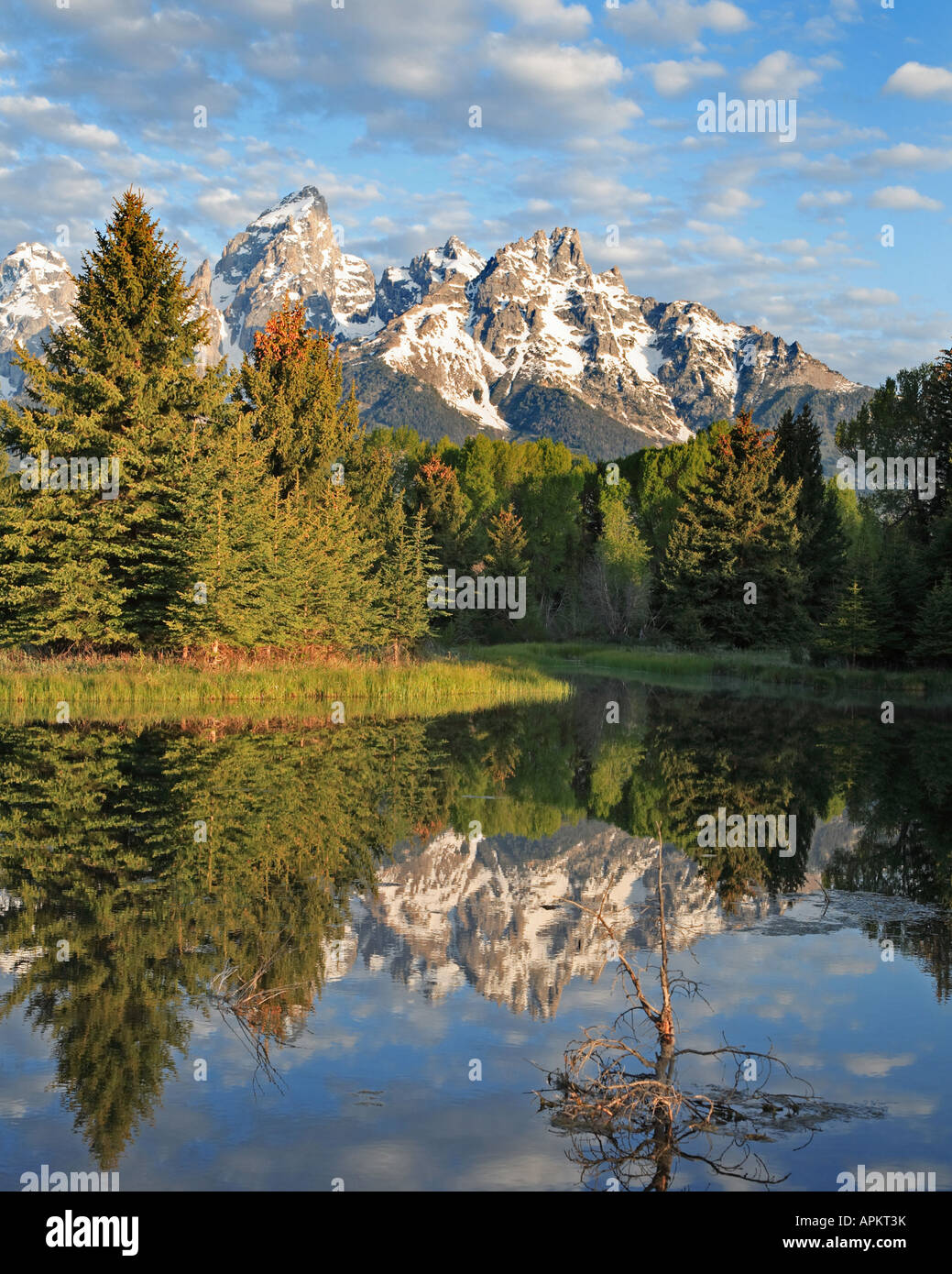 landscape in Jackson Hole, USA, Wyoming, Grand Teton NP Stock Photo - Alamy