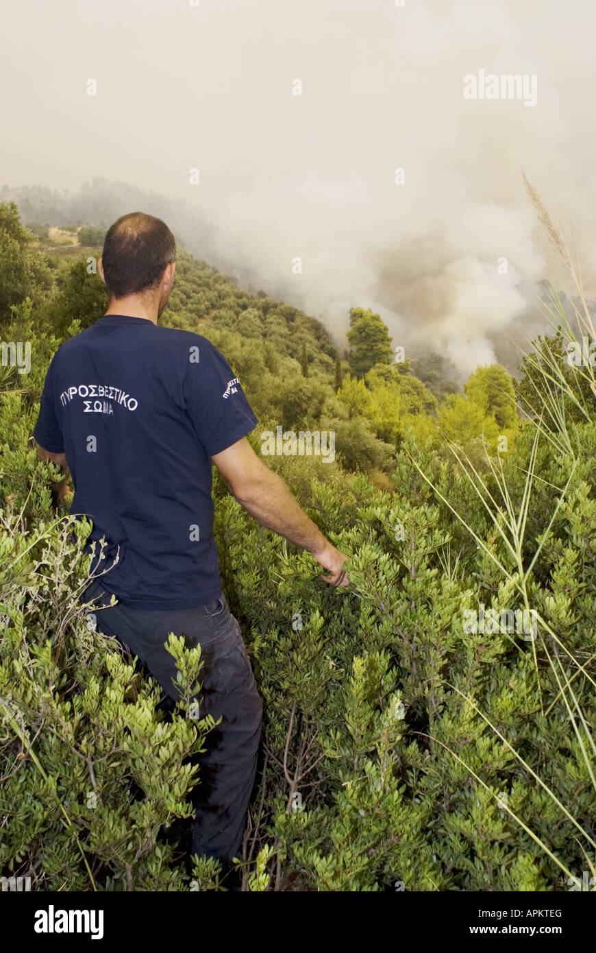 Fireman watching a forest fire from secure distance hi-res stock ...