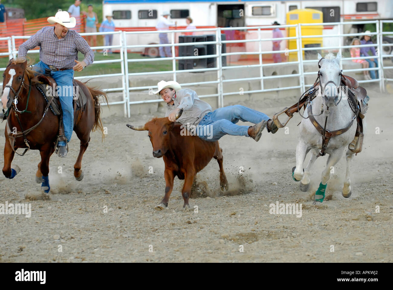 Cowboys participate in Rodeo bull dogging event Stock Photo - Alamy