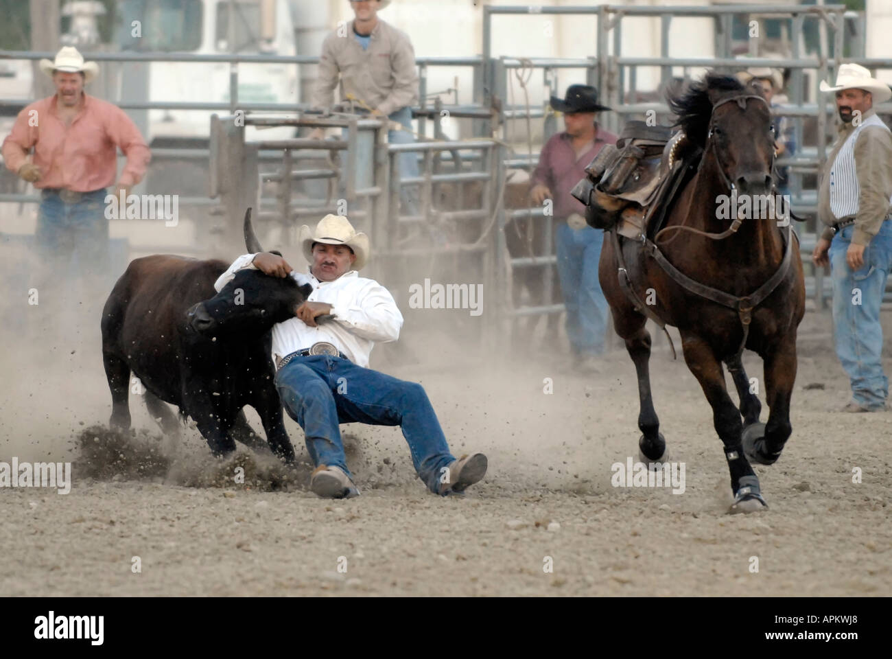 Dogging hi-res stock photography and images - Alamy