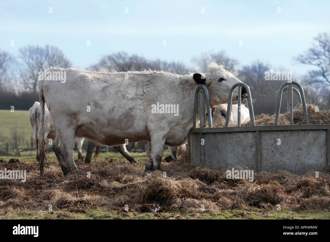 Round Bale Hay Feeder High Resolution Stock Photography and Images - Alamy