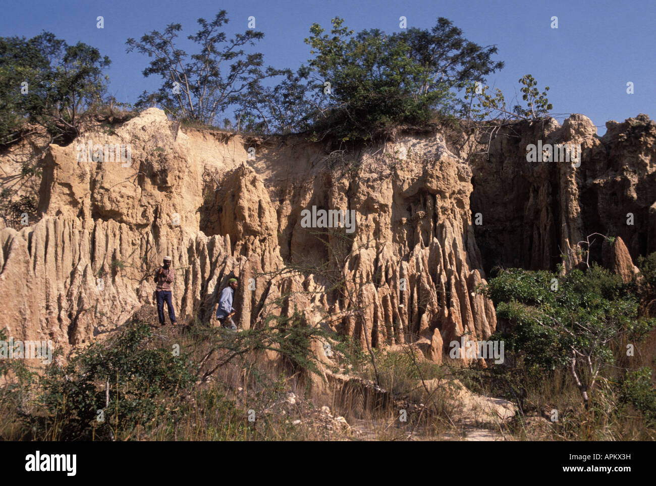 Gully erosion africa hi-res stock photography and images - Alamy