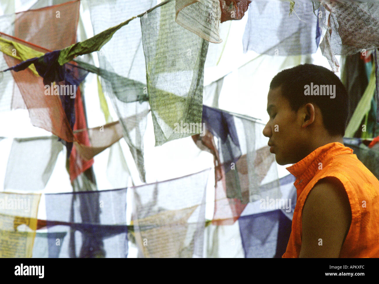MONK BY PRAYER FLAGS KATHMANDU Stock Photo - Alamy
