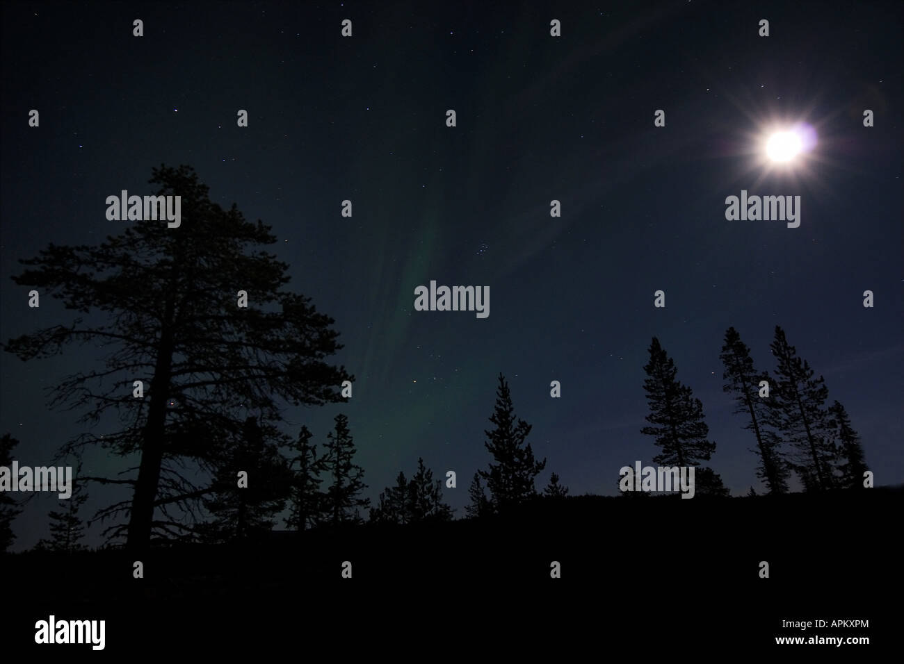full moon shining over swamp landscape near Gaellivare, Sweden, Lapland ...