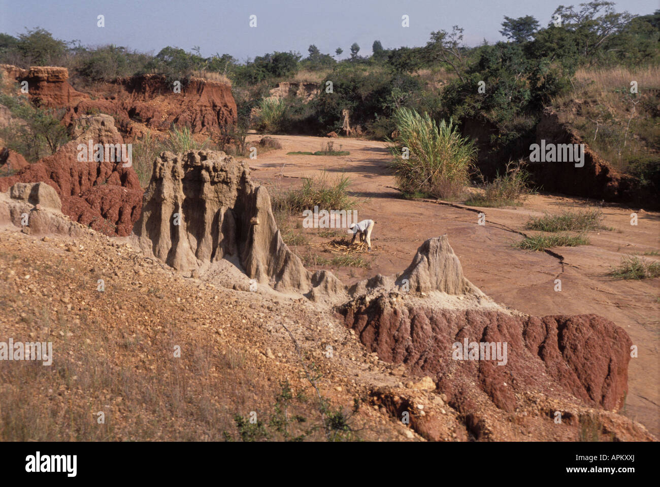 Gullies africa hi-res stock photography and images - Alamy