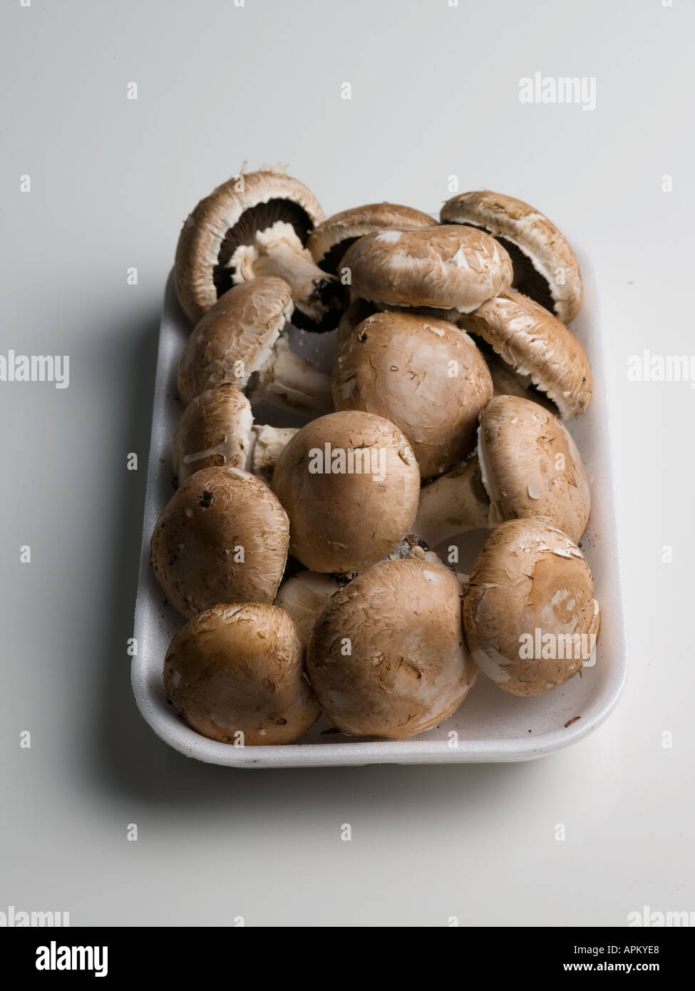 close up mushroom Stock Photo - Alamy