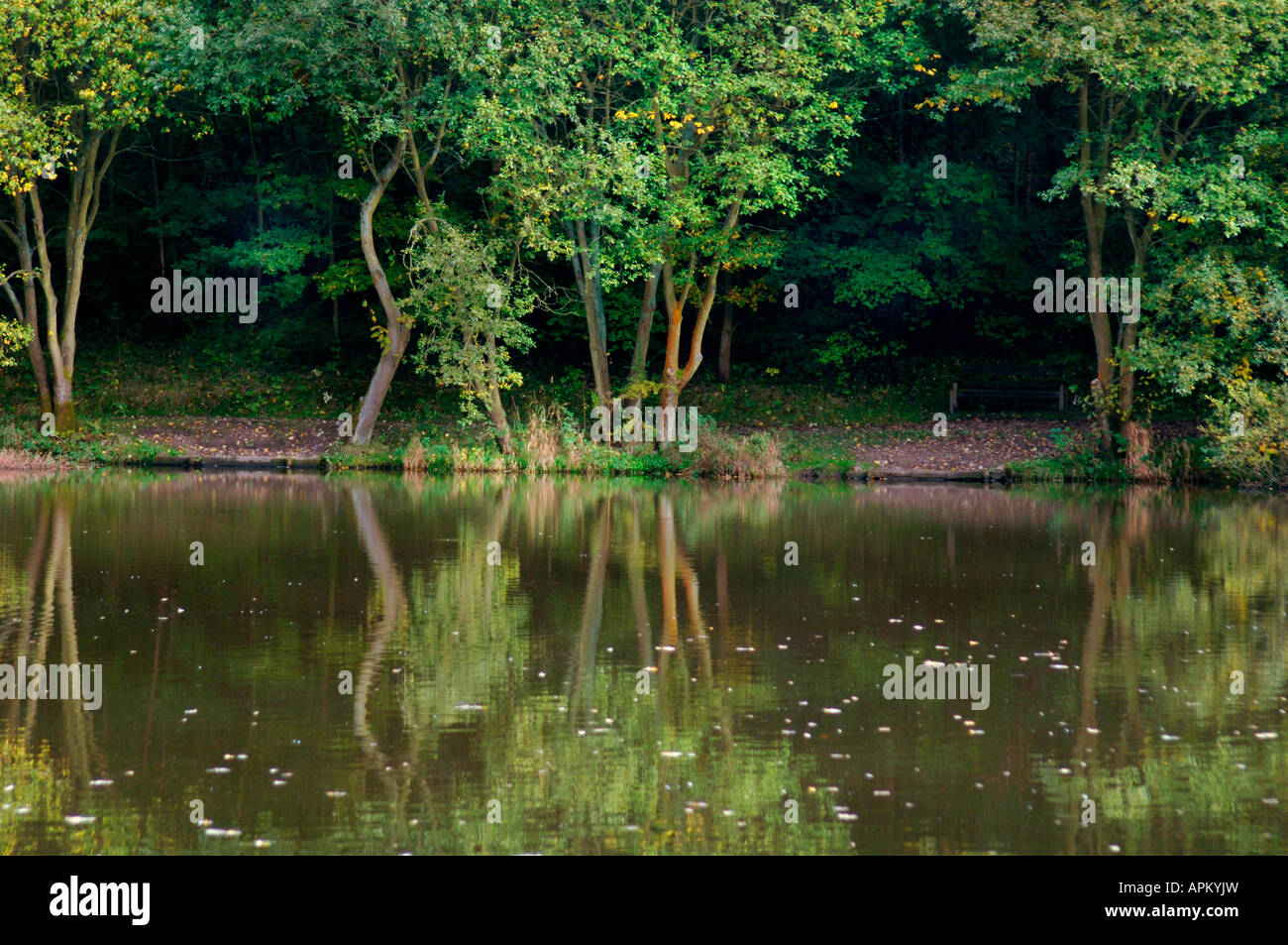 Reflections In A Lake Stock Photo - Alamy