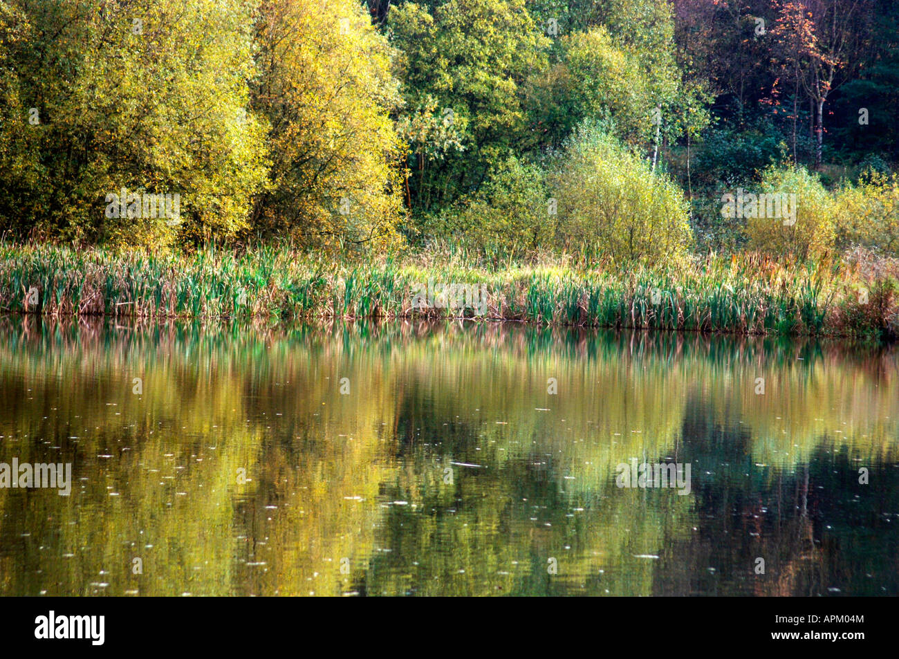 Reflections In A Lake Stock Photo - Alamy