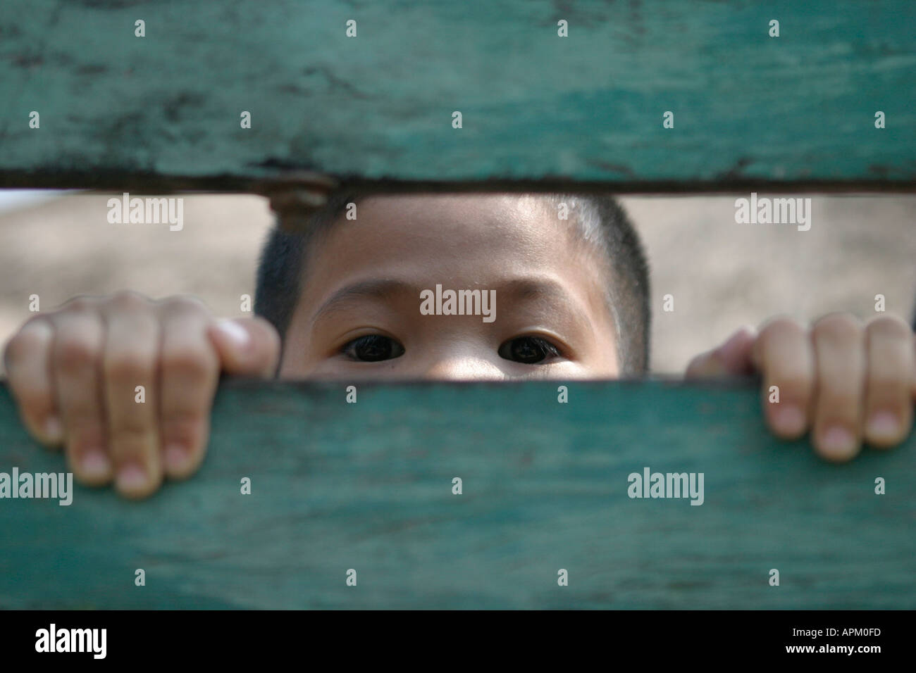 Boy peeking through gap in fence Stock Photo - Alamy