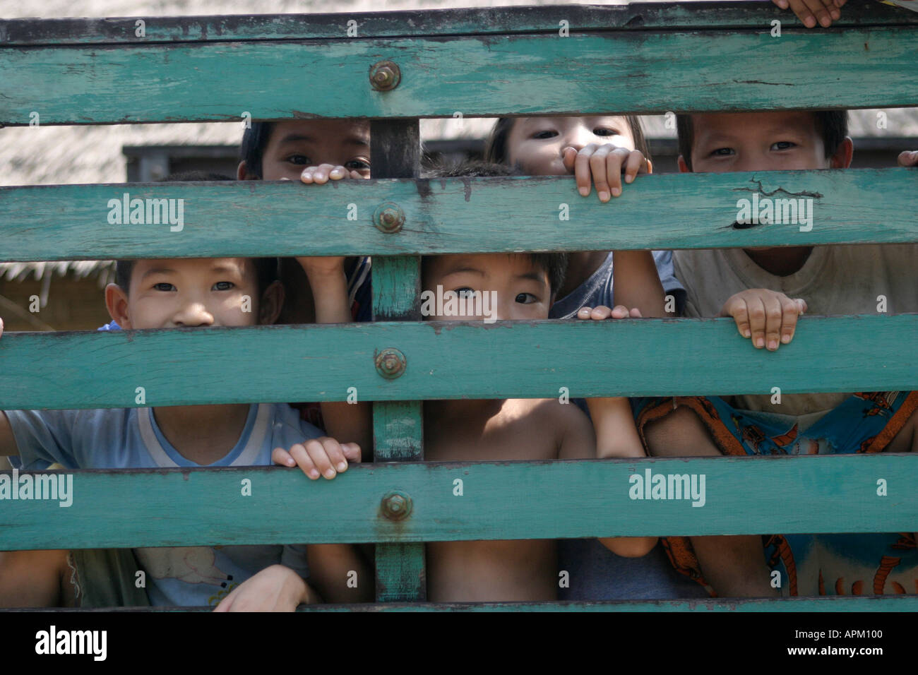 Boys peeking through gap in fence Stock Photo - Alamy