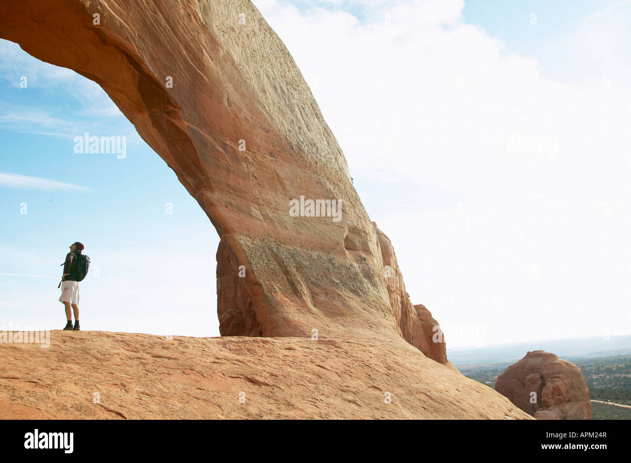 Looking under rock hi-res stock photography and images - Alamy