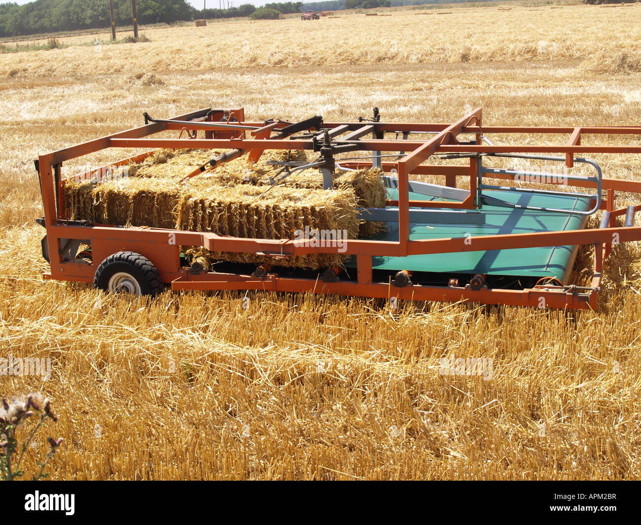 trailor square golden wheat hay bale stubble Stock Photo - Alamy