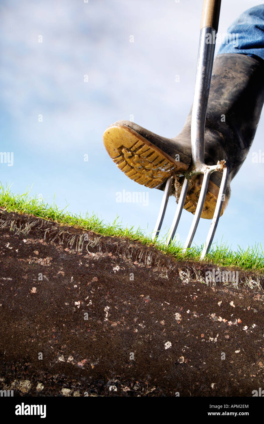 Cross section soil dig hi-res stock photography and images - Alamy