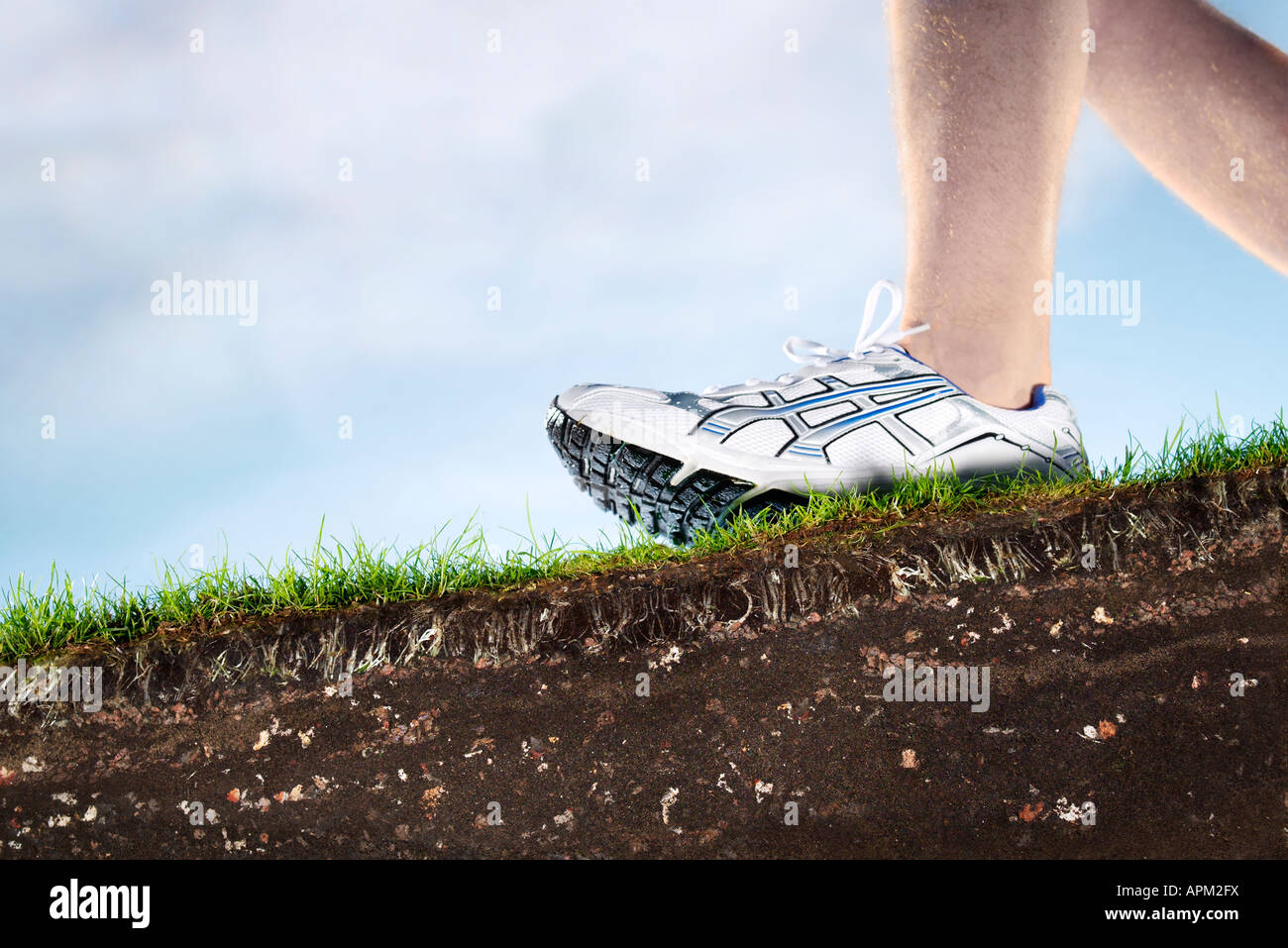 Ground cross section hi-res stock photography and images - Alamy