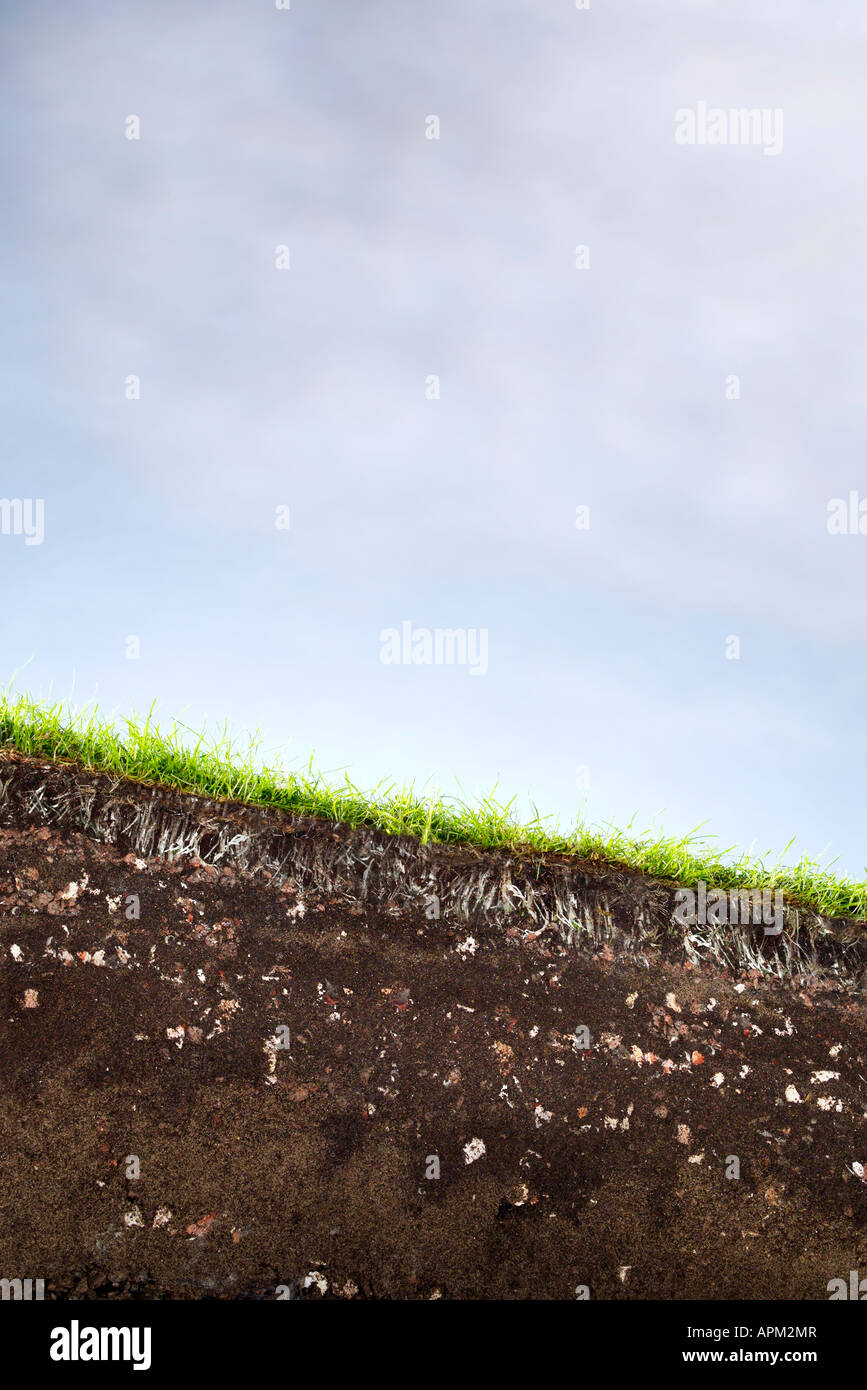 Under the roots hi-res stock photography and images - Alamy