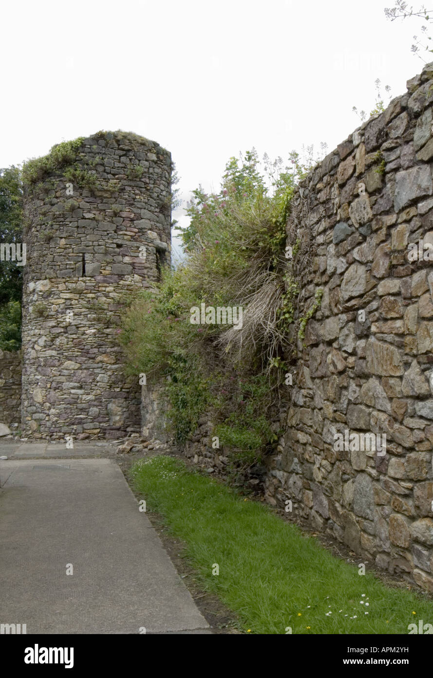 Wexford town ireland hi-res stock photography and images - Alamy