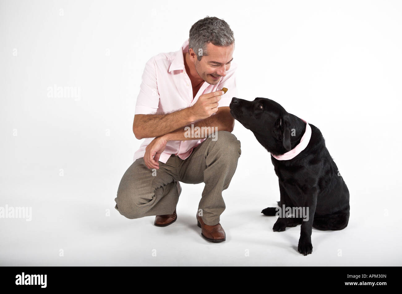 Black Labrador dog and owner Stock Photo - Alamy