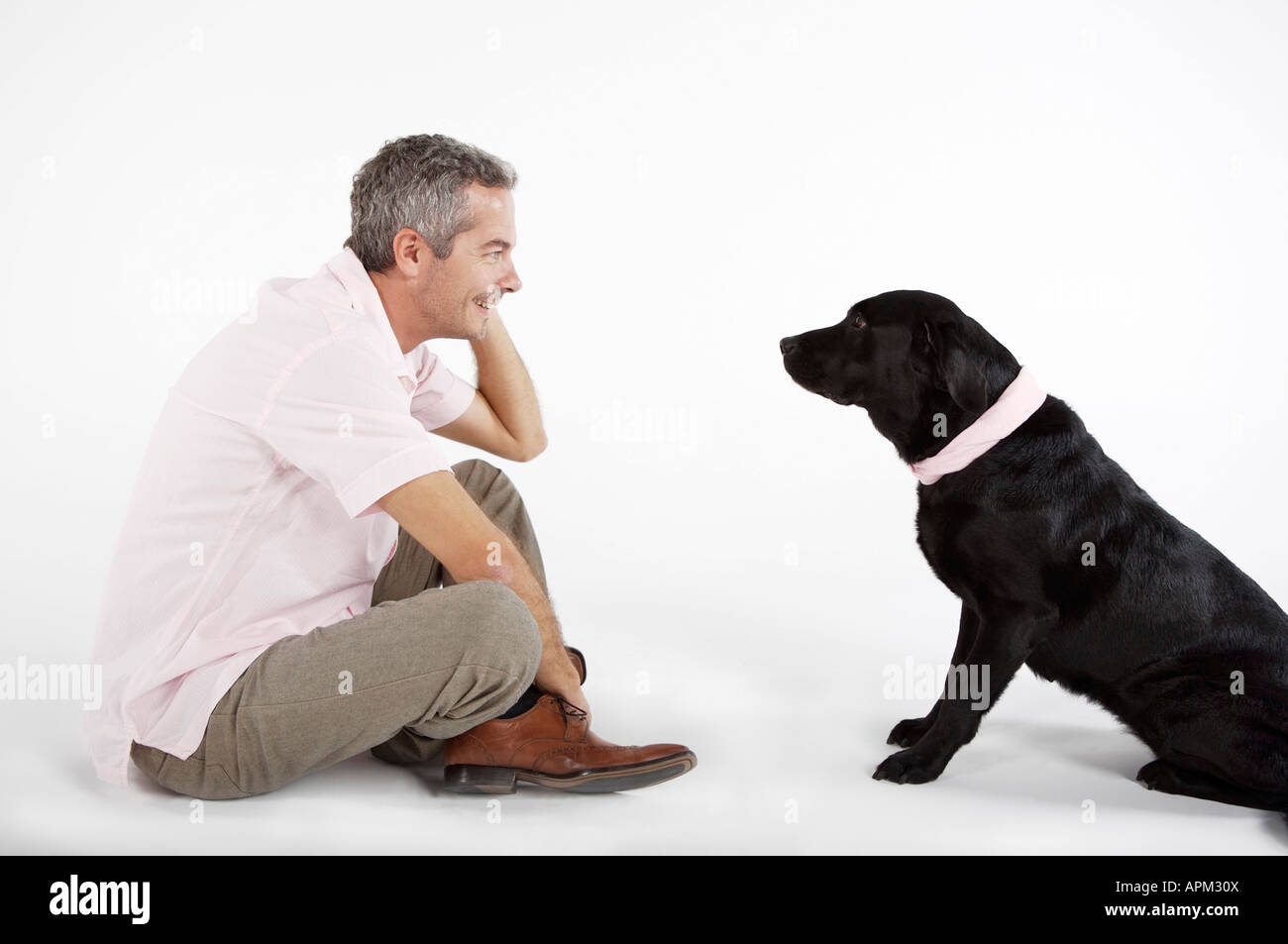 Owner playing with black Labrador dog Stock Photo - Alamy