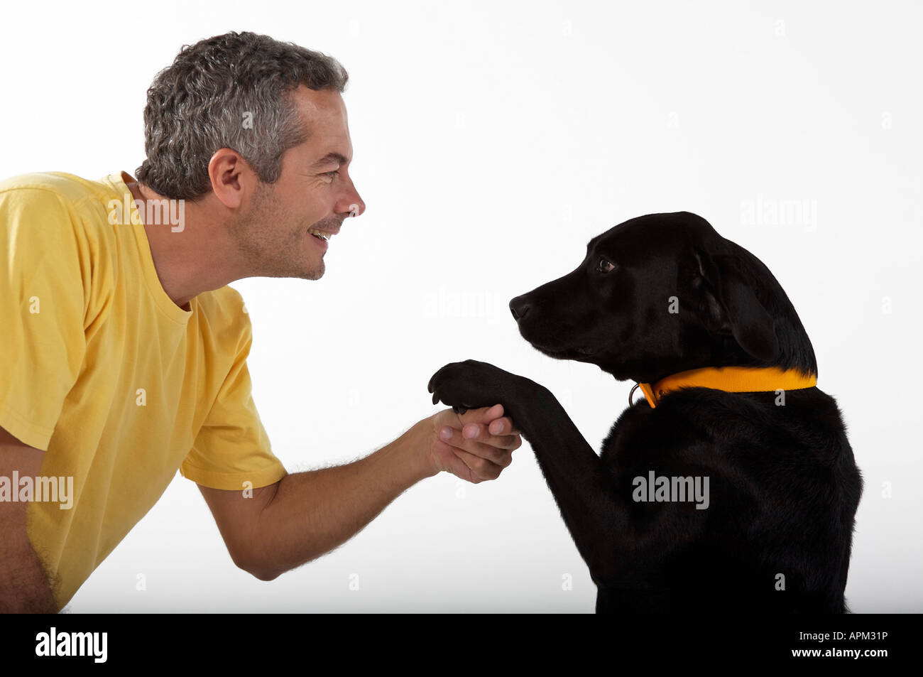 Animals giving sharing hi-res stock photography and images - Alamy