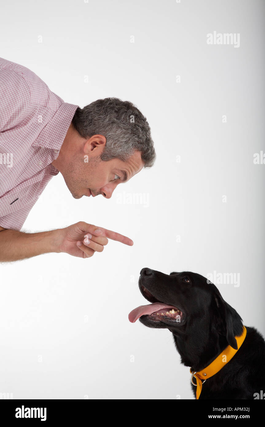 Owner educating dog Stock Photo - Alamy