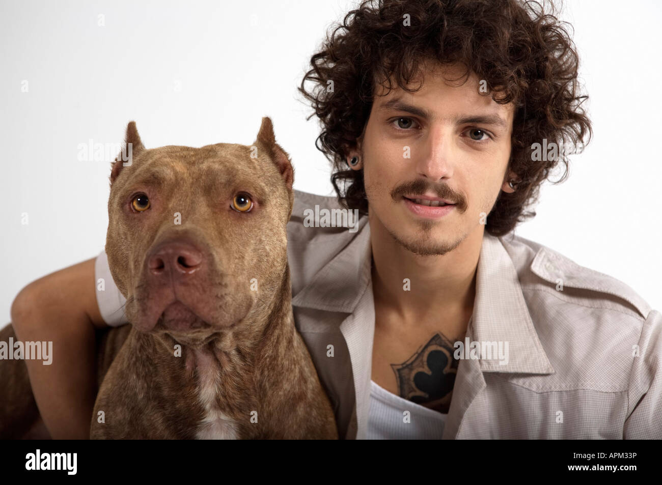 Pitbull smiles hi-res stock photography and images - Alamy