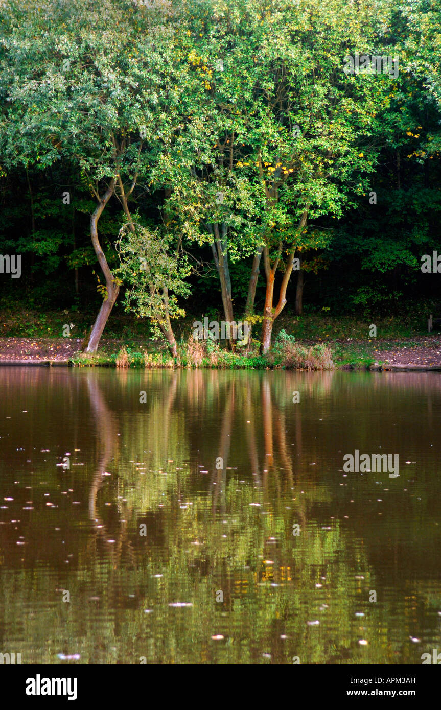 Reflections In A Lake Stock Photo - Alamy