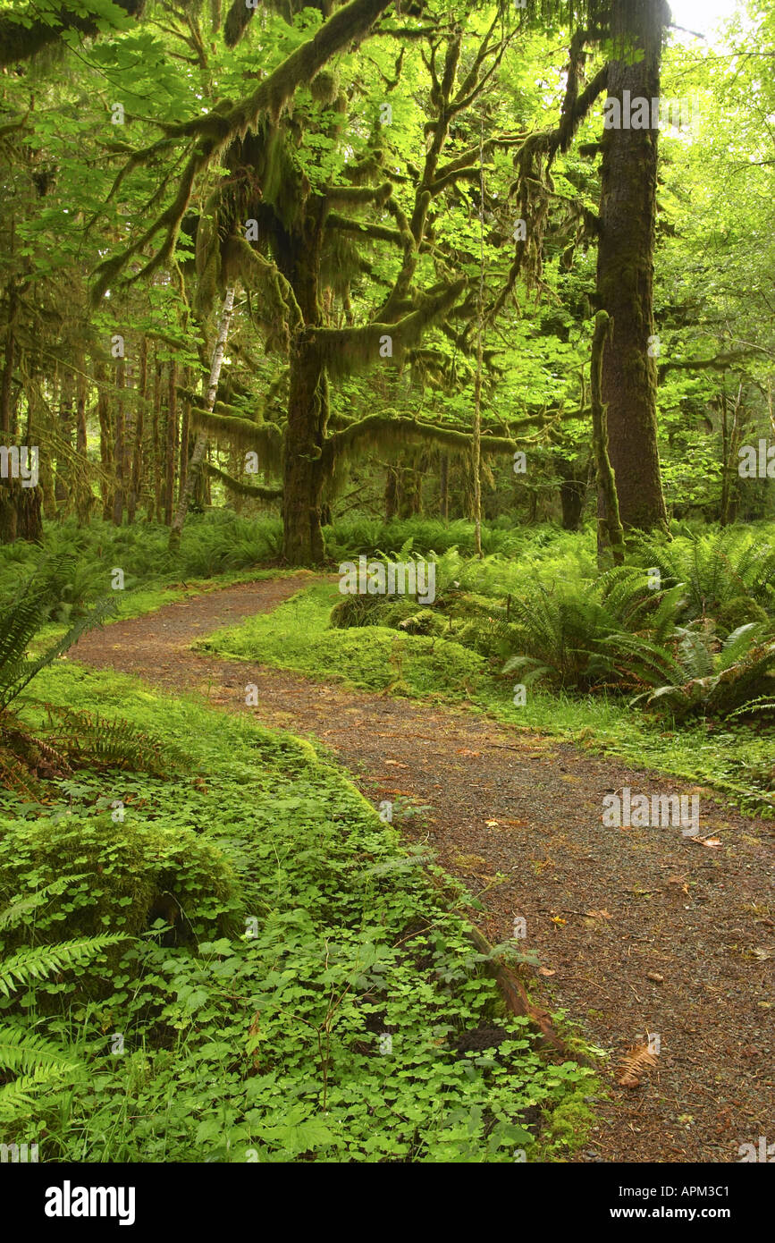 Maple glade nature trail hi-res stock photography and images - Alamy