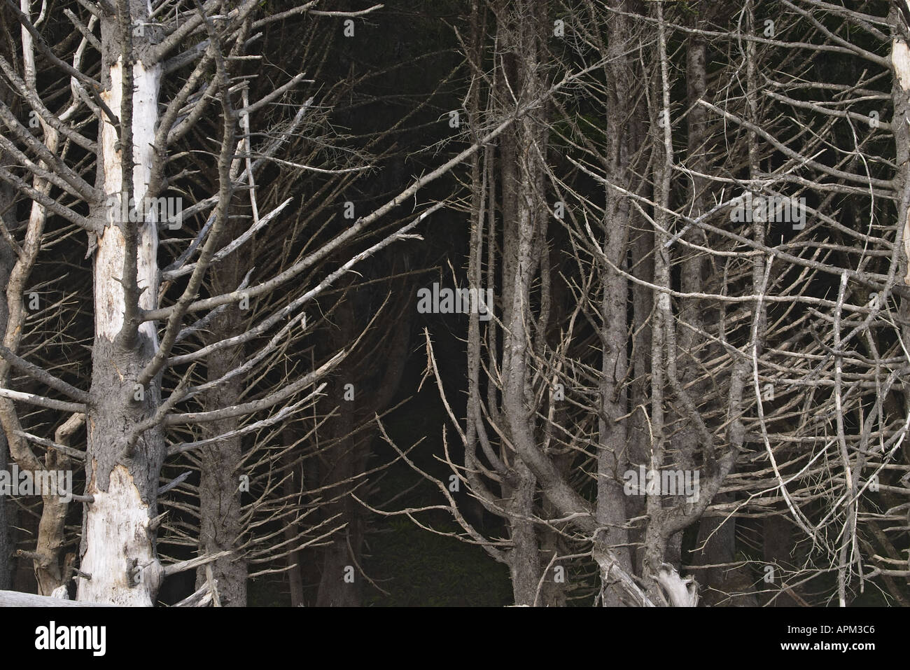 Península mora hi-res stock photography and images - Alamy