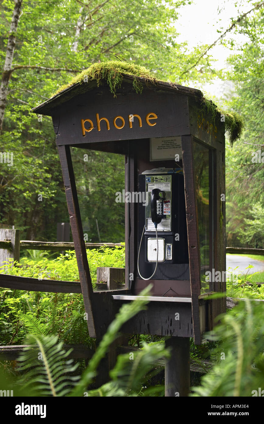 Moss covered telephone booth Hoh Rain Forest Visitor Center Olympic ...