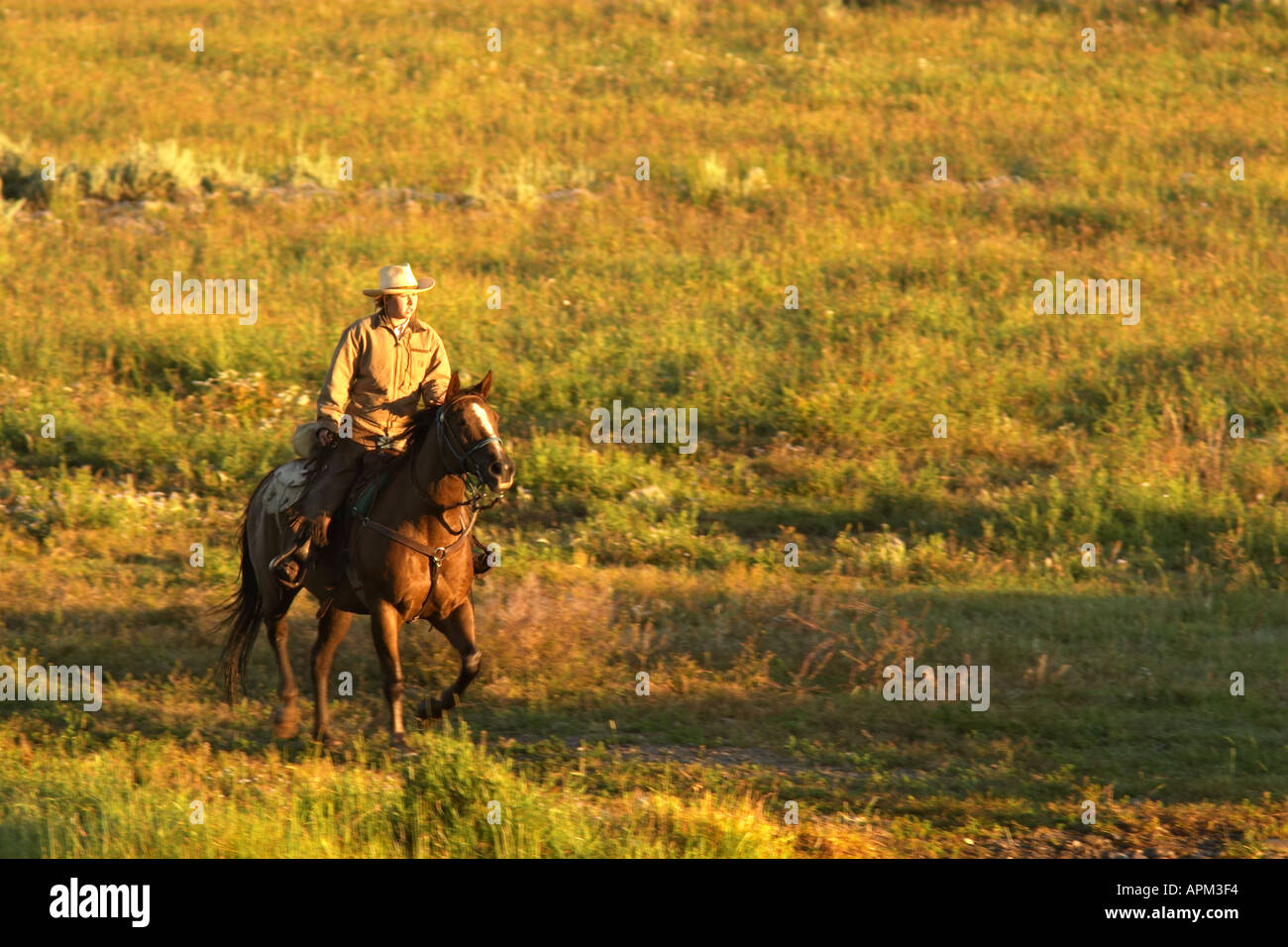 Triangle cowboy hat hi-res stock photography and images - Alamy