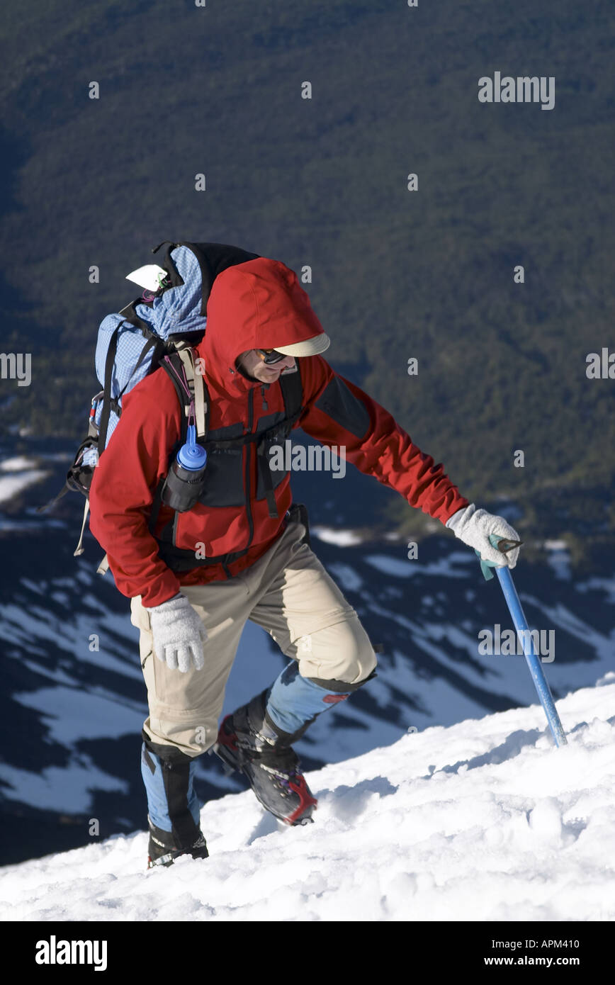 Man in red jacket climbing up snow on Mount Adams Yakima County Cascade ...