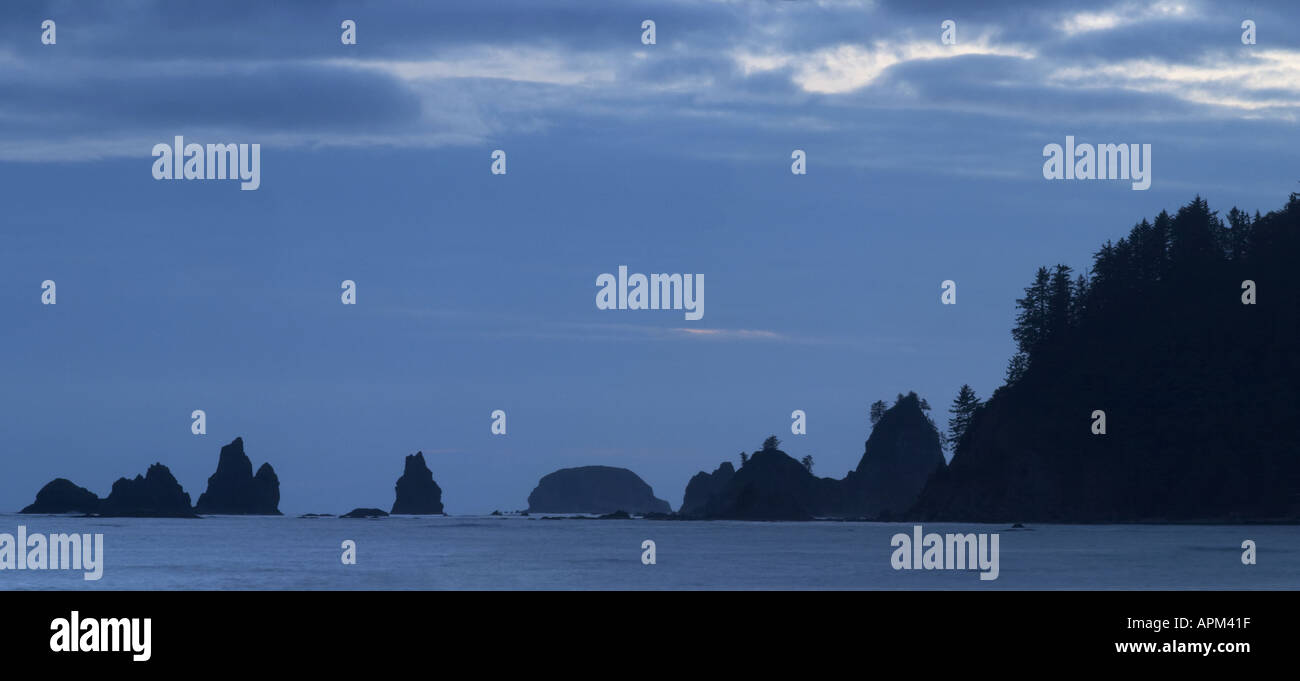 Sea stacks off Mora Beach Olympic National Park Olympic Peninsula ...