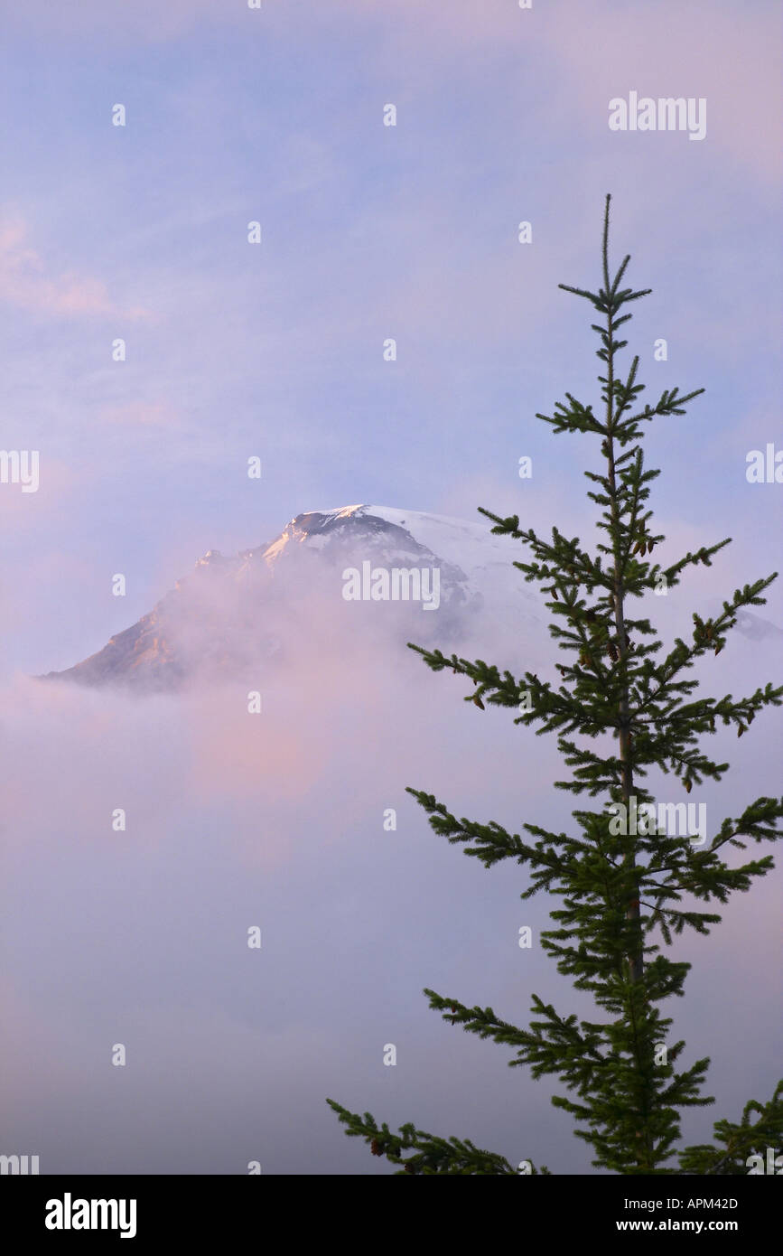 Washington mount rainier national park as seen hi-res stock photography ...