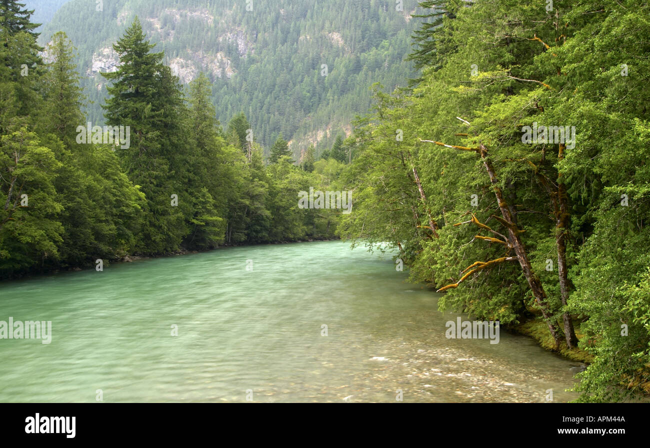 Skagit River Newhalem Ross Lake National Recreation Area Whatcom County ...