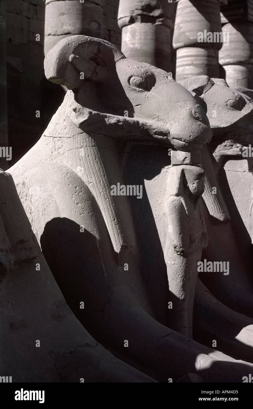 Statue of Sacred Ram in Great Court Karnak Egypt Stock Photo - Alamy