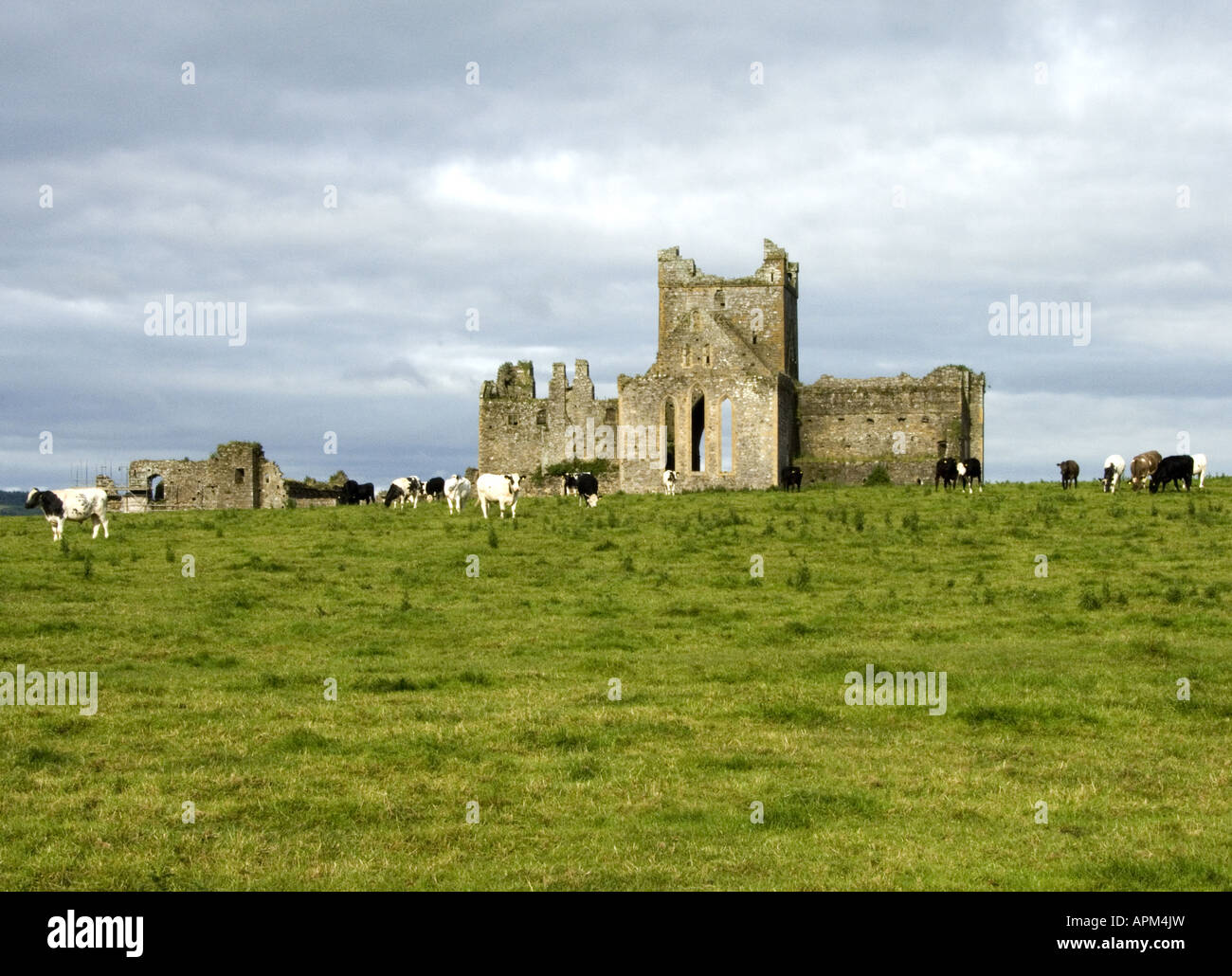 Castle new ross ireland hi-res stock photography and images - Alamy