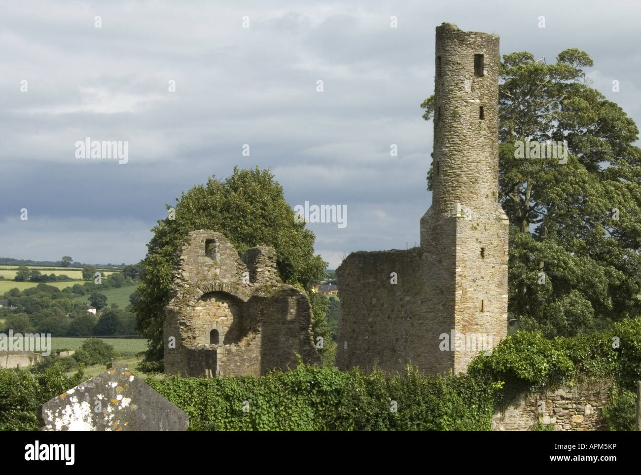Marys abbey ferns hi-res stock photography and images - Alamy
