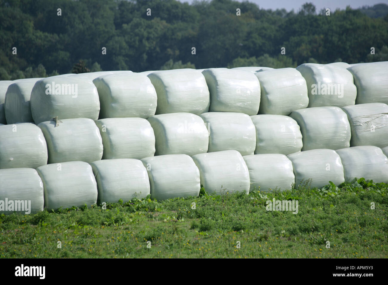 Bales straw essex uk hi-res stock photography and images - Alamy