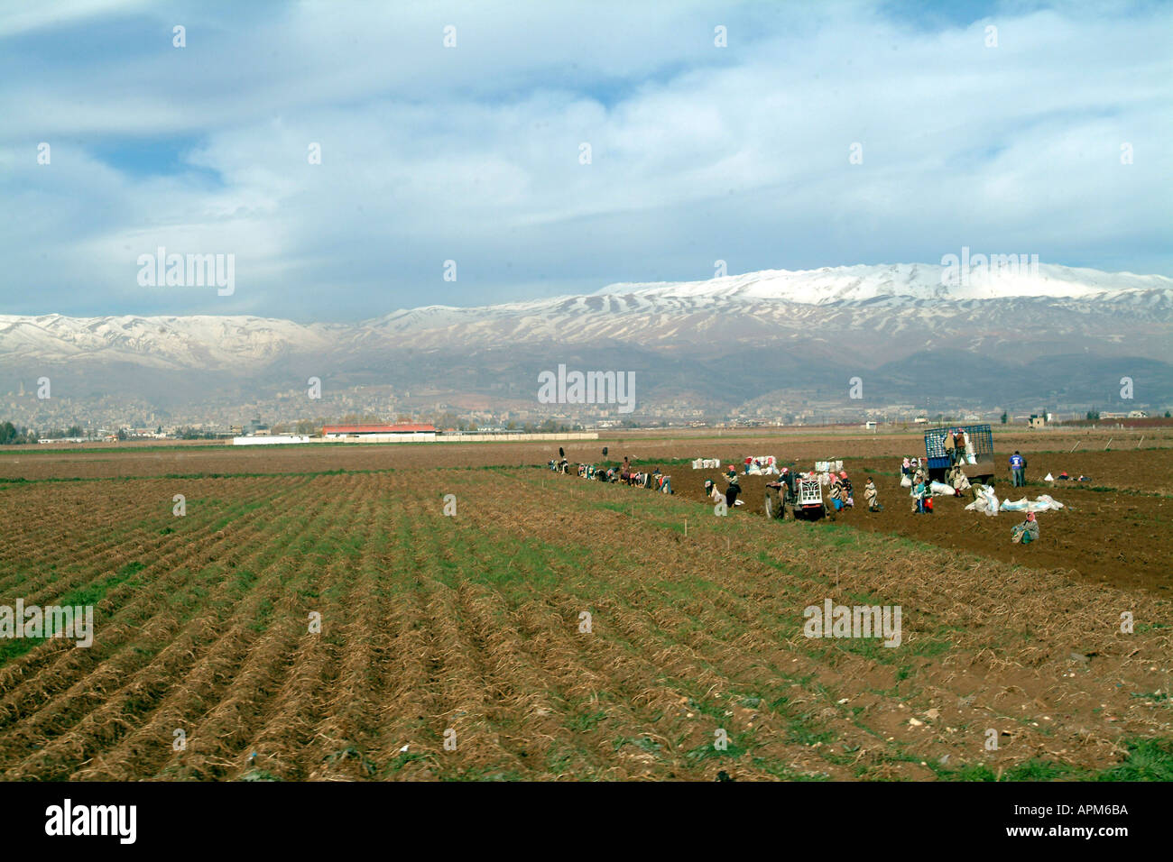 Fields and mountain range along the road in Lebanon Stock Photo - Alamy
