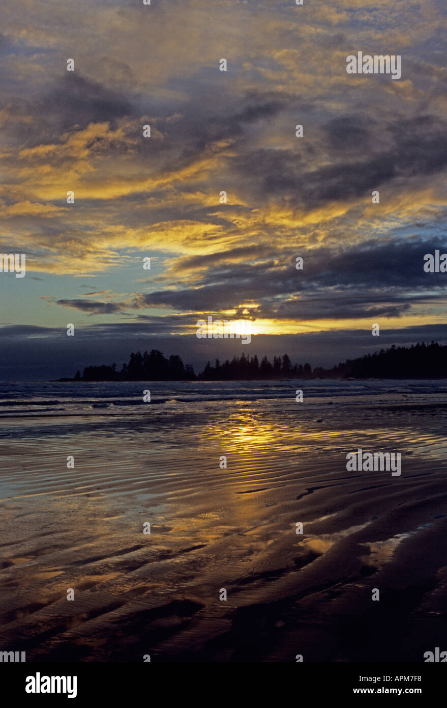 CANADA BC Vancouver Island PACIFIC RIM NATIONAL PARK Long Beach at ...