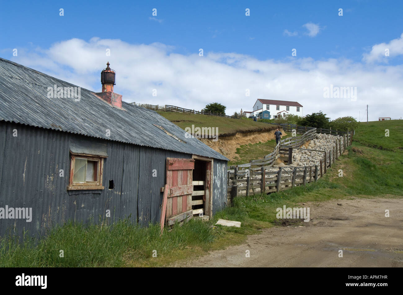 Carradale sheep hi-res stock photography and images - Alamy