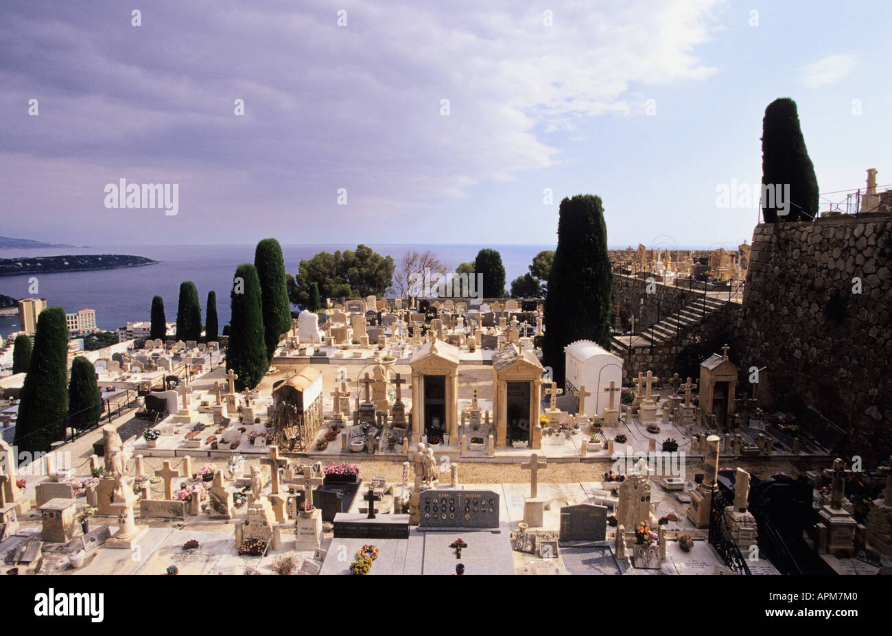 Trees in graveyard with sea in background, high angle view Stock Photo ...